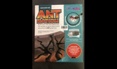 Buy Bug Explorers Online